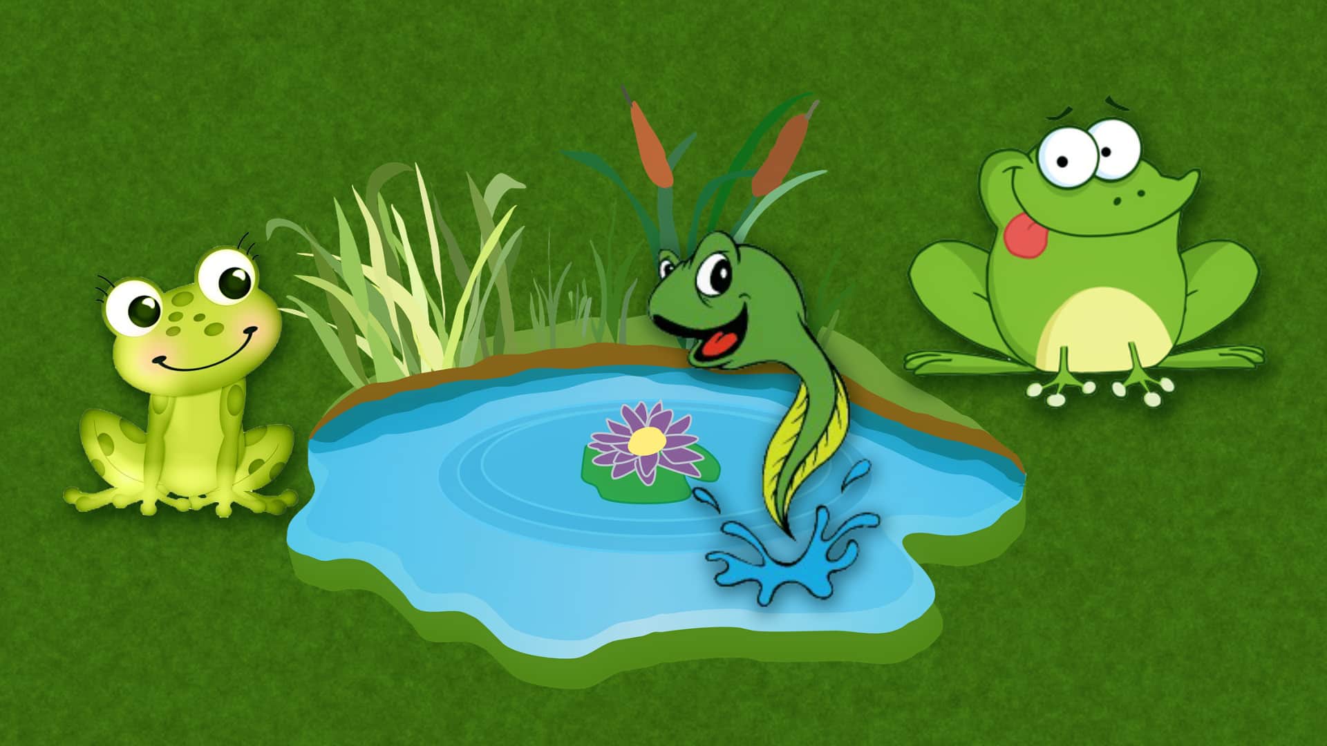 El renacuajo quejoso | audio cuentos infantiles en español